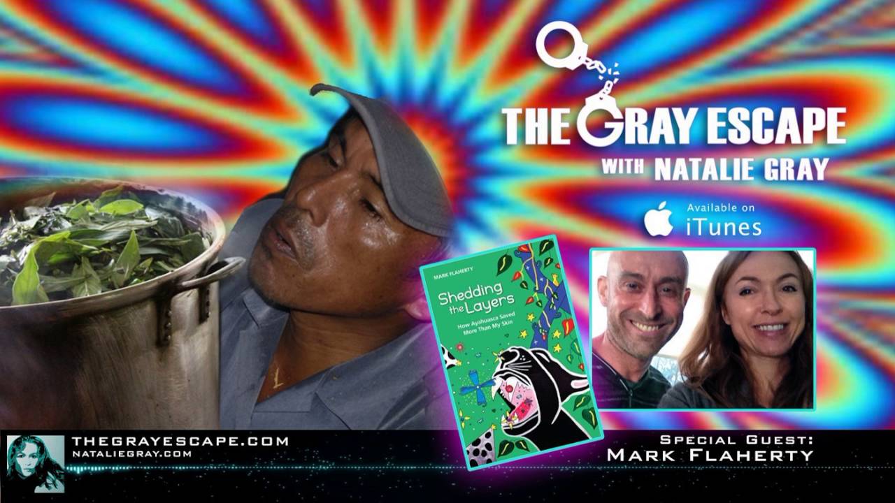 Ep 20 - Ayahuasca 101 | Mark Flaherty - YouTube