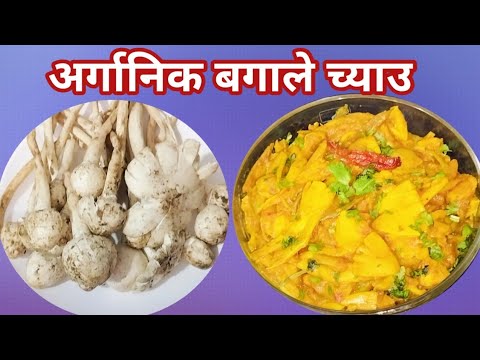 Organic Forest Bagale Mushrooms l बगाले च्याउ बनाउने मिठो तरिका l ...