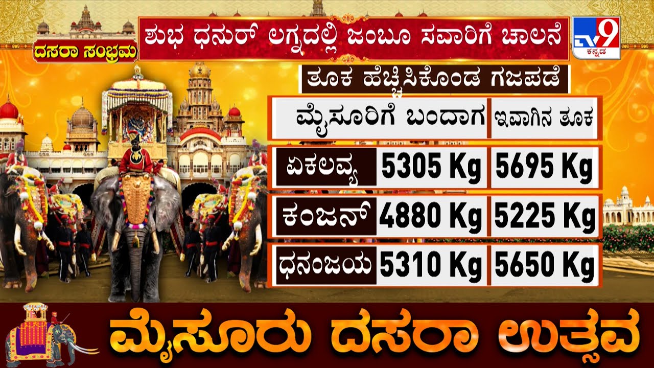 Mysuru Dasara 2025: Countdown Begins For World Famous Jambu Savari ...