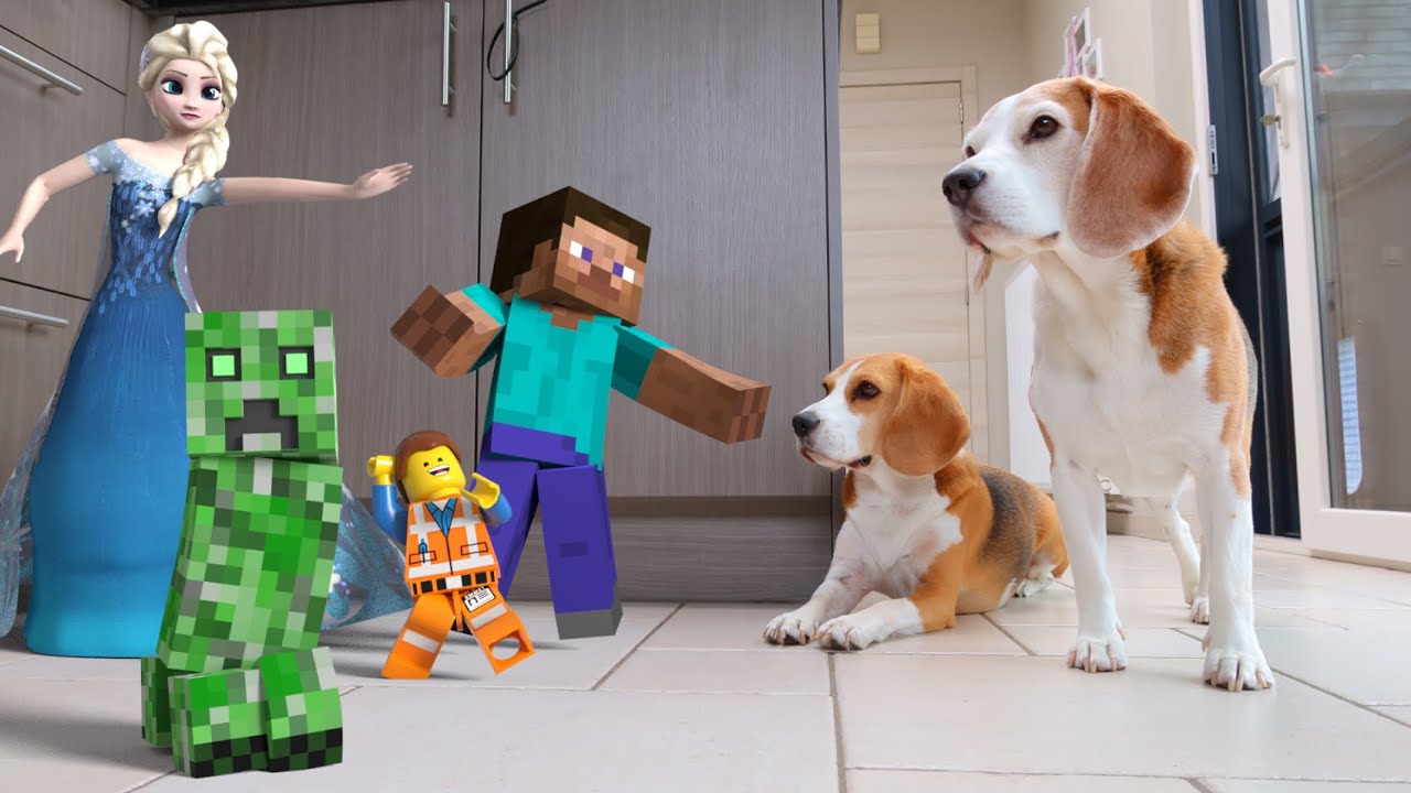 Animations In REAL LIFE Compilation *MUST SEE!* Ep9 - YouTube