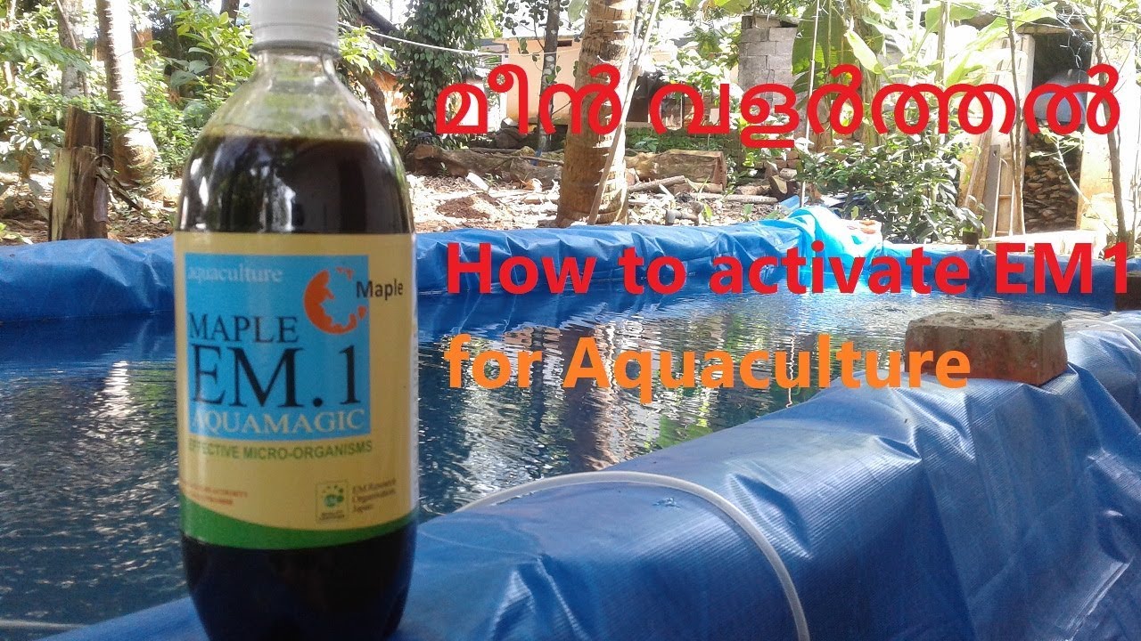 Activate EM1 for aquaculture or agriculture - YouTube