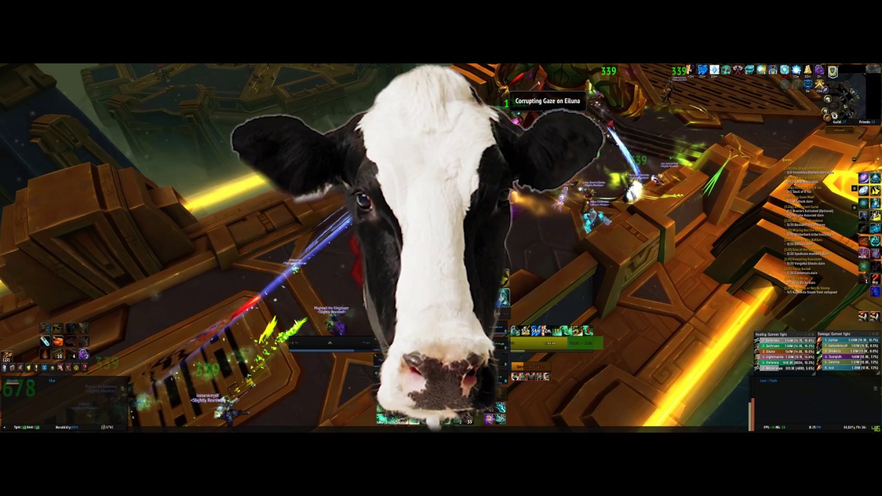 Cows? - World of Warcraft - YouTube