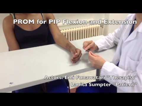ROM and MMT: Neck Flexion and Extension, PIP Flexion and Extension, MCP ...