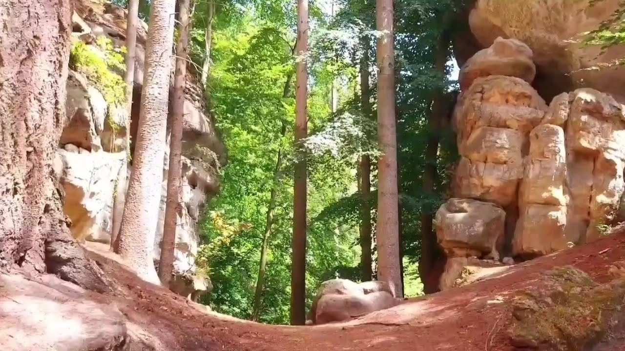 Virtual Walk through Woods, Caves, Waterfalls and Beautiful Forest ...