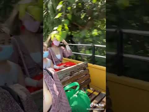 Vania gemash | so beautiful 😍 #shorts(5)