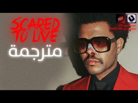 The weeknd - Scared To Live | Lyrics Video | مترجمة - YouTube