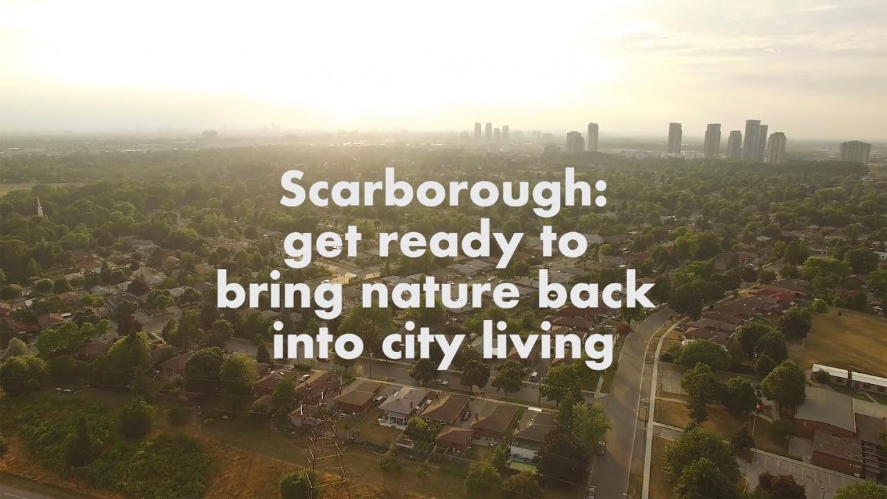 The Meadoway in Scarborough, Ontario - Community Powered Green Spaces ...