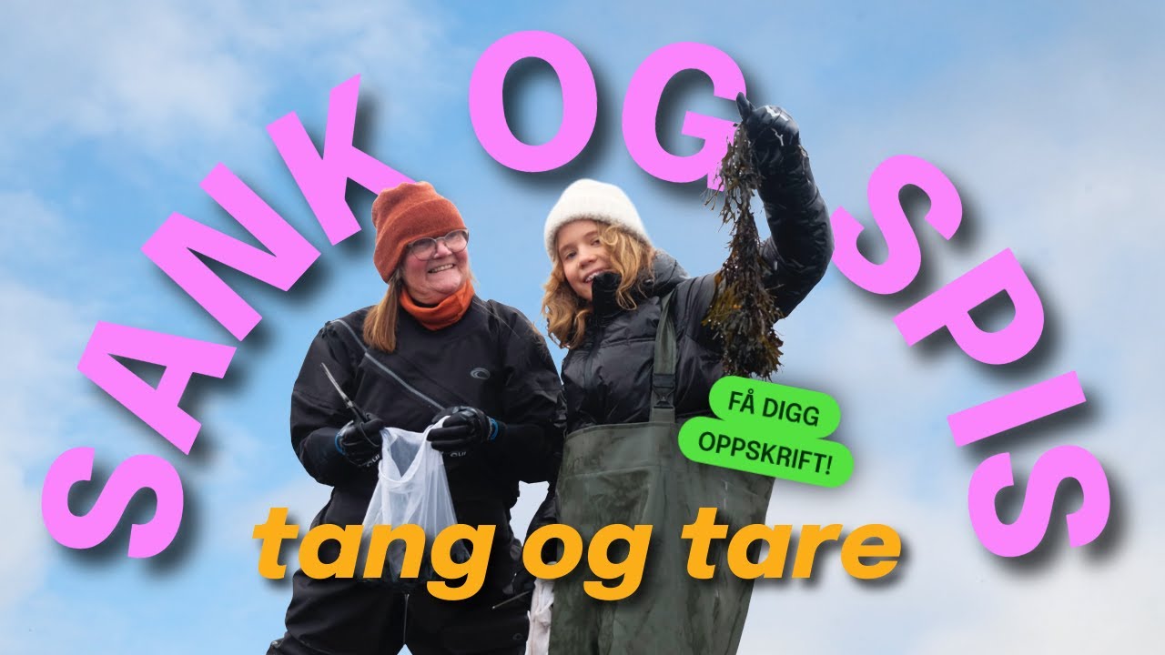 Visste du at tang og tare kan bli en viktig matvare i framtida? Slik ...