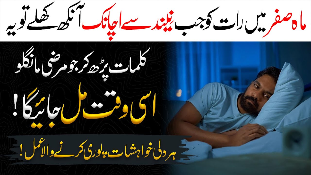 Differences Between Broiler Chicken And Pork | Broiler Chicken Aur ...