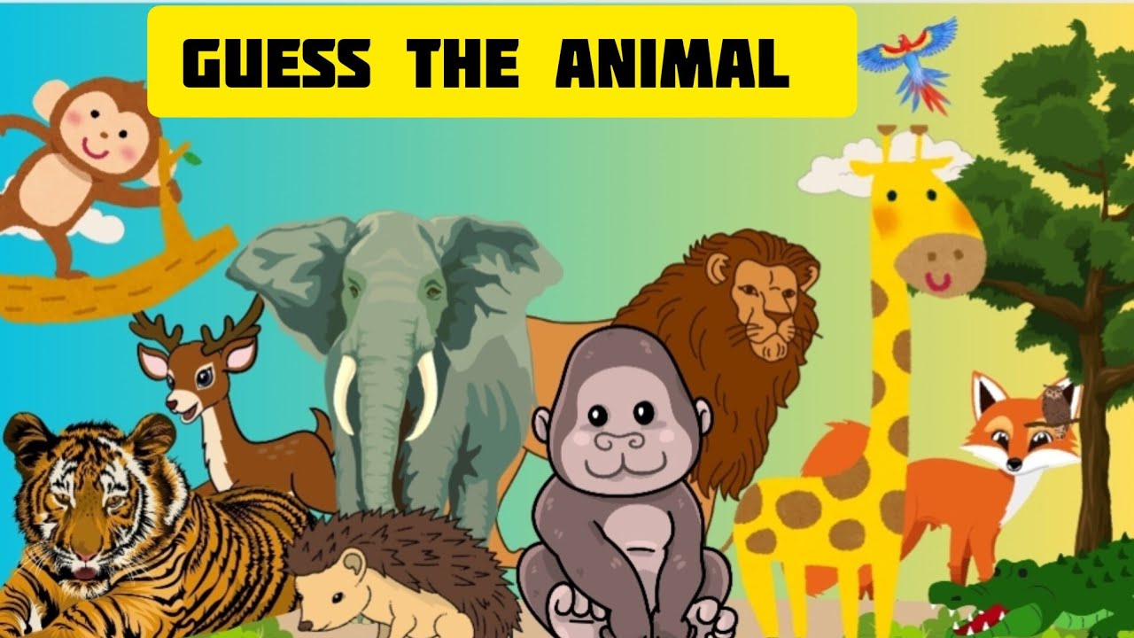 Guess The Animal By Picture ....🦝🐒Easy To Hard Level 🤯🥵 - YouTube