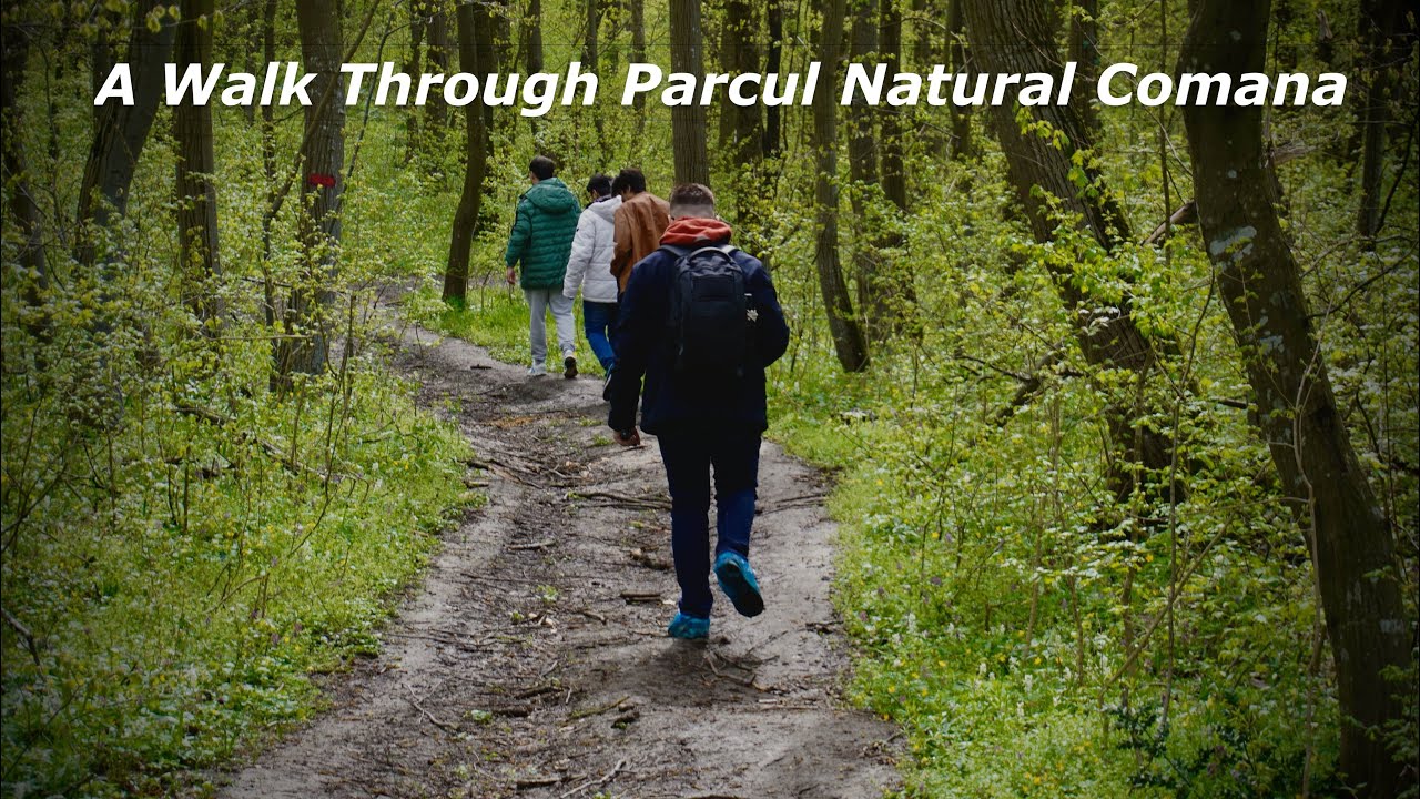 A Walk Through Parcul Natural Comana / CINEMATIC SHORTFILM - YouTube
