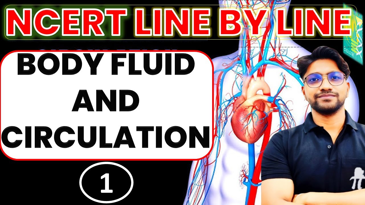 👉 "Fluid Circulation Explained: Blood Flow & Body Secrets 🔥" - YouTube