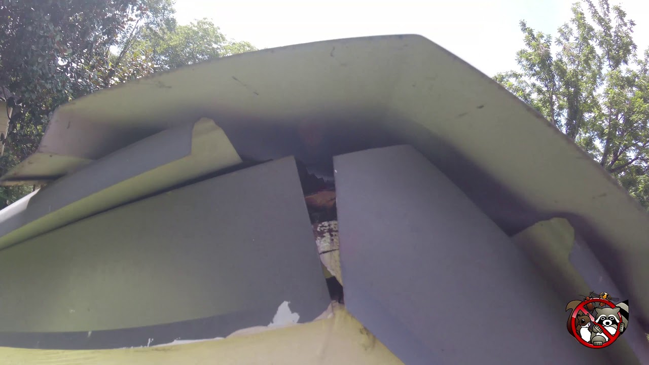 Bat-Proofing a House - YouTube