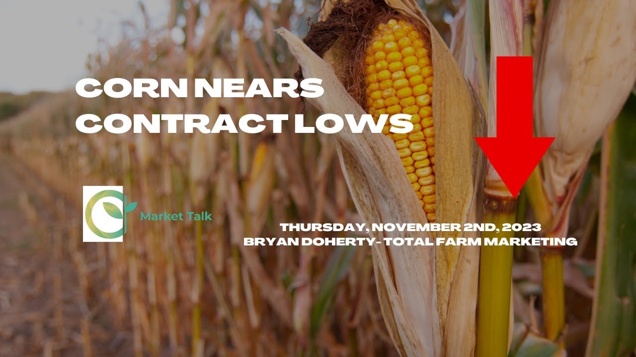 Corn Market Pushing Towards Contract Lows - YouTube