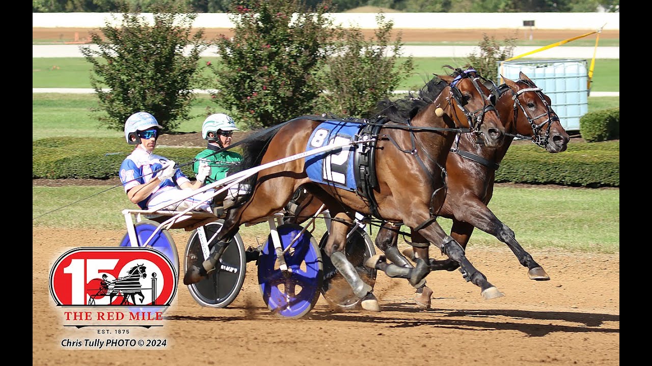 Memento Mori & Scott Zeron wins International Stallion Stakes ($80,000 ...