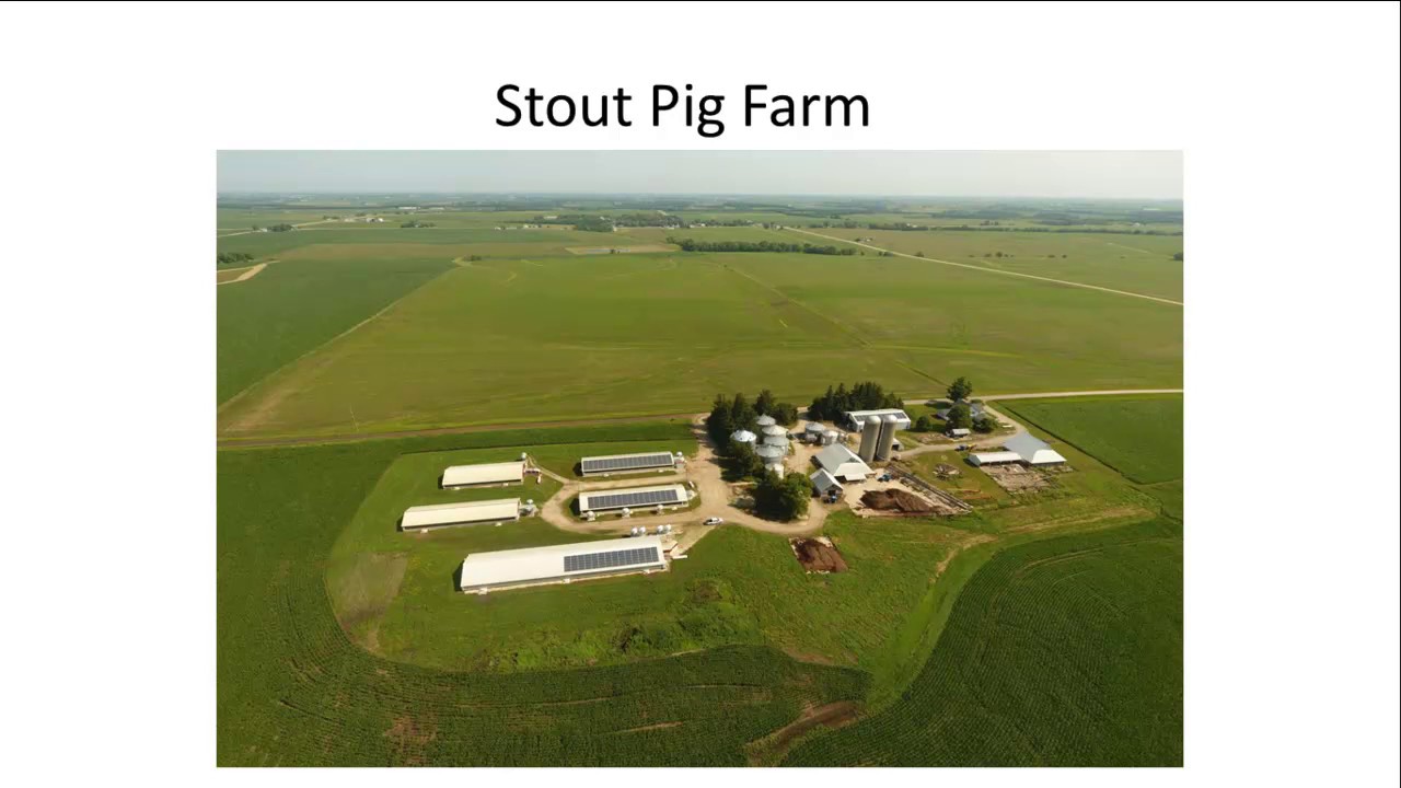 Rob Stout - Environmental Stewardship on Pig Farms - YouTube