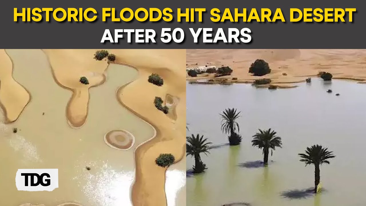 Sahara Desert's First Floods in 50 Years Captured in Stunning New ...