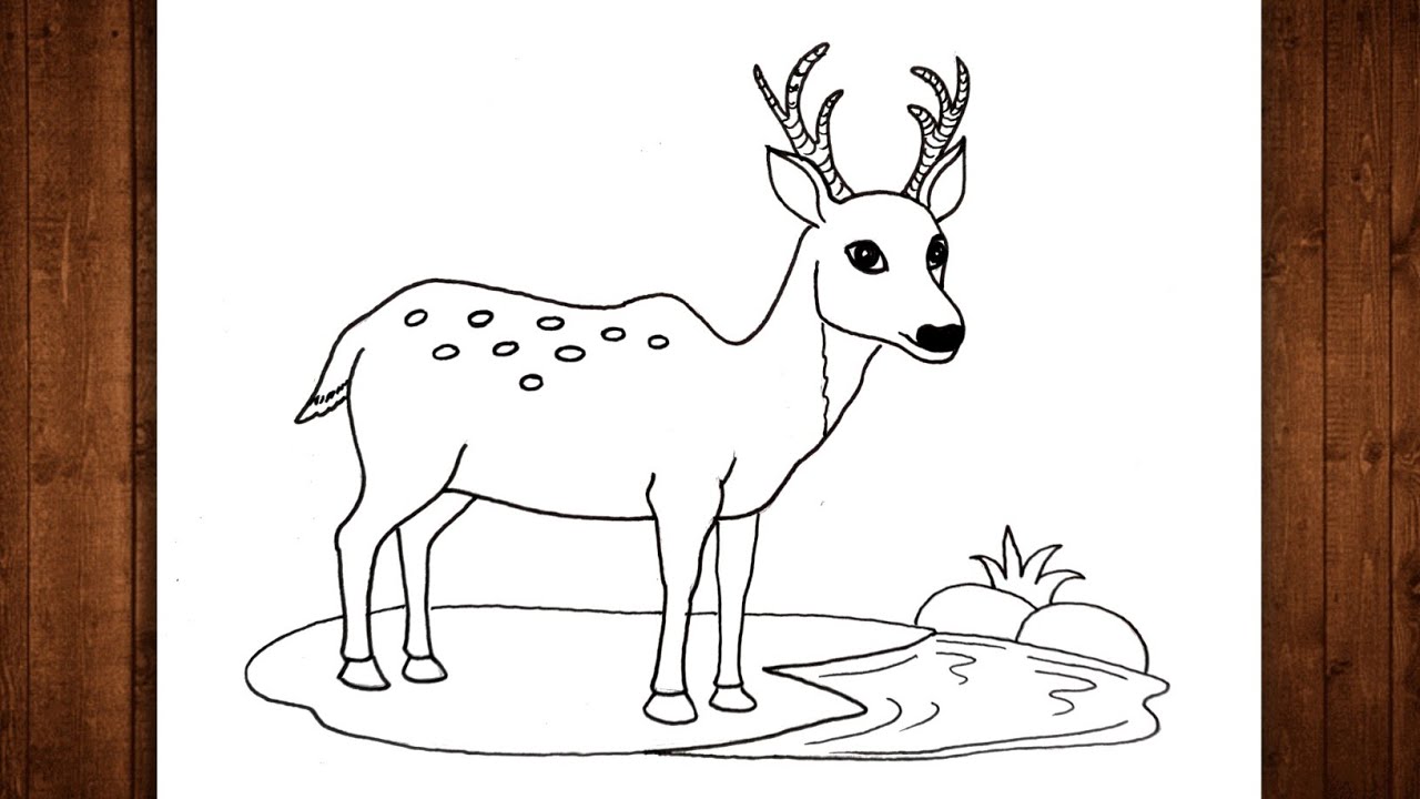 How to draw Deer / Deer Drawing Colour / Deer Colour - YouTube