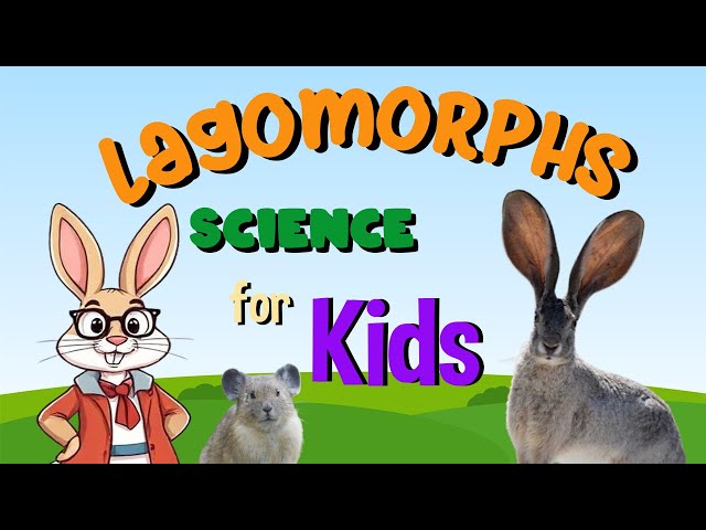 Lagomorphs | Science for Kids - Videos For Kids