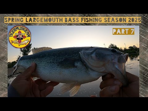 SPRING LARGEMOUTH BASS FISHING SEASON 2025 PART 7 - YouTube
