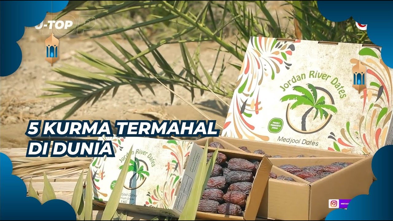 KURMA TERMAHAL DI DUNIA | U-TOP #EPS105 - YouTube