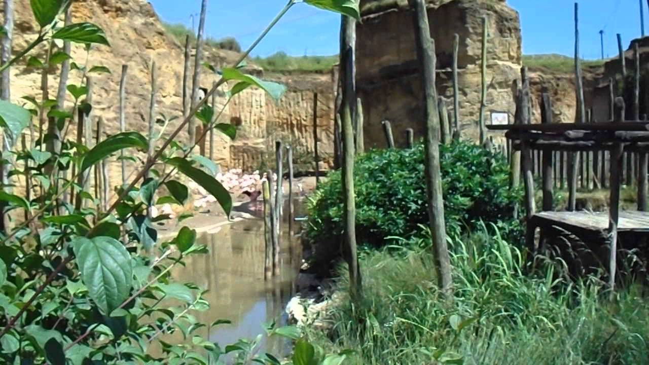 ZOO de DOUE LA FONTAINE , la Volière . - YouTube