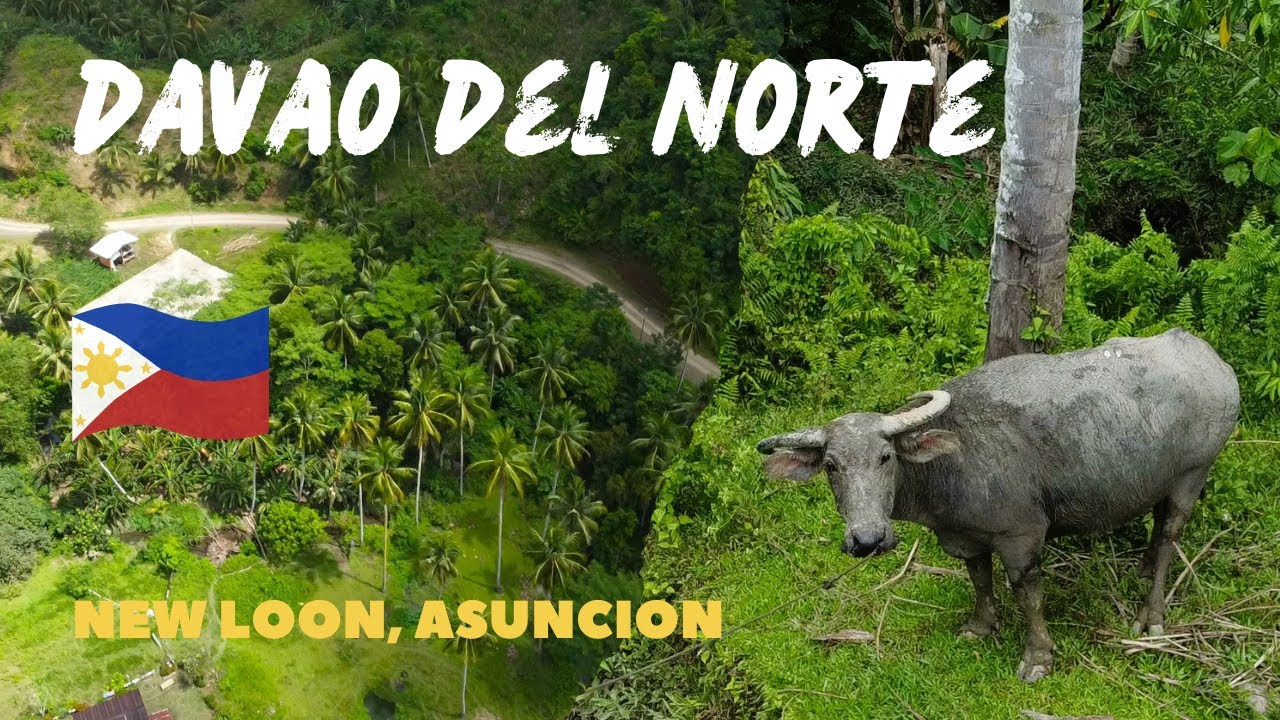 PRIMITIVE MOUNTAIN REGION IN SOUTHERN PHILIPPINES - Our Trip To New ...