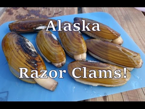 Digging Razor Clams, ALASKA STYLE! [Summer 2015-17] - YouTube