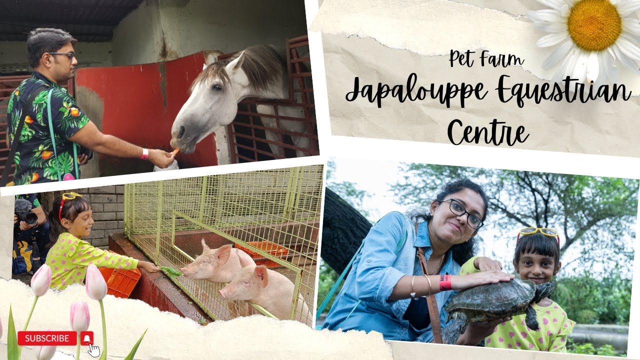 Pet Farm Near Mumbai, Pune /Japalouppe Equestrian Centre/Petting Farm ...
