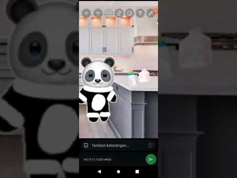ternyata anak gajah dan panda adalah burung merak!! 😁