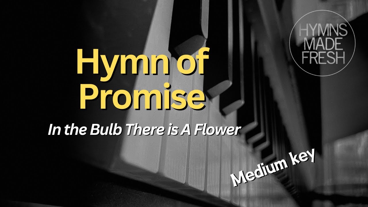 Hymn of Promise - PIANO and LYRICS - YouTube
