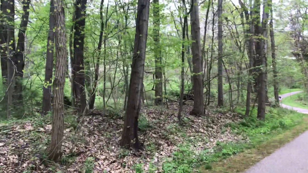 Akron Forest || Metro Park. - YouTube