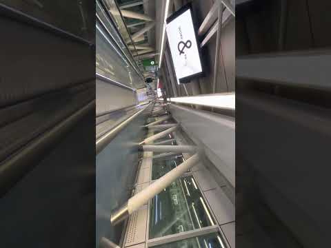 【英語日記】day8 go to Rome!!!