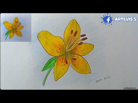 How to draw yellow flowers - YouTube