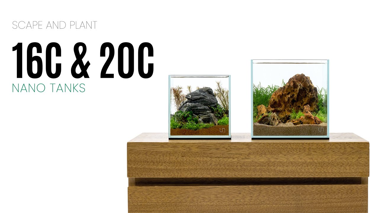 Aquascaping Nano Tanks ft. UNS 16C & 20C Aquariums - YouTube