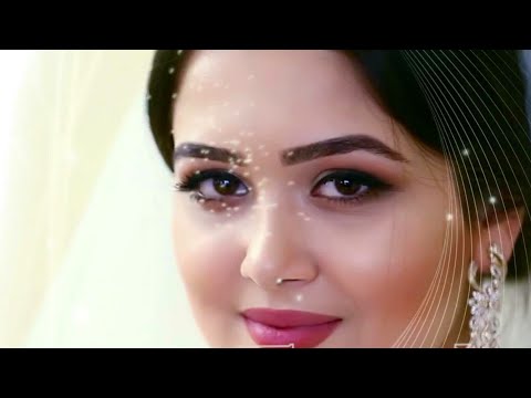 ابو امير - شيلة مدح خوات العروس | افخم شيلة حماسية رقص | للطلب 0559900718