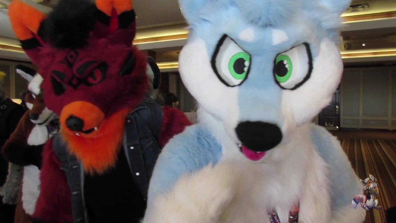 Ontario Furries Expo 2017: Winter Furs - YouTube