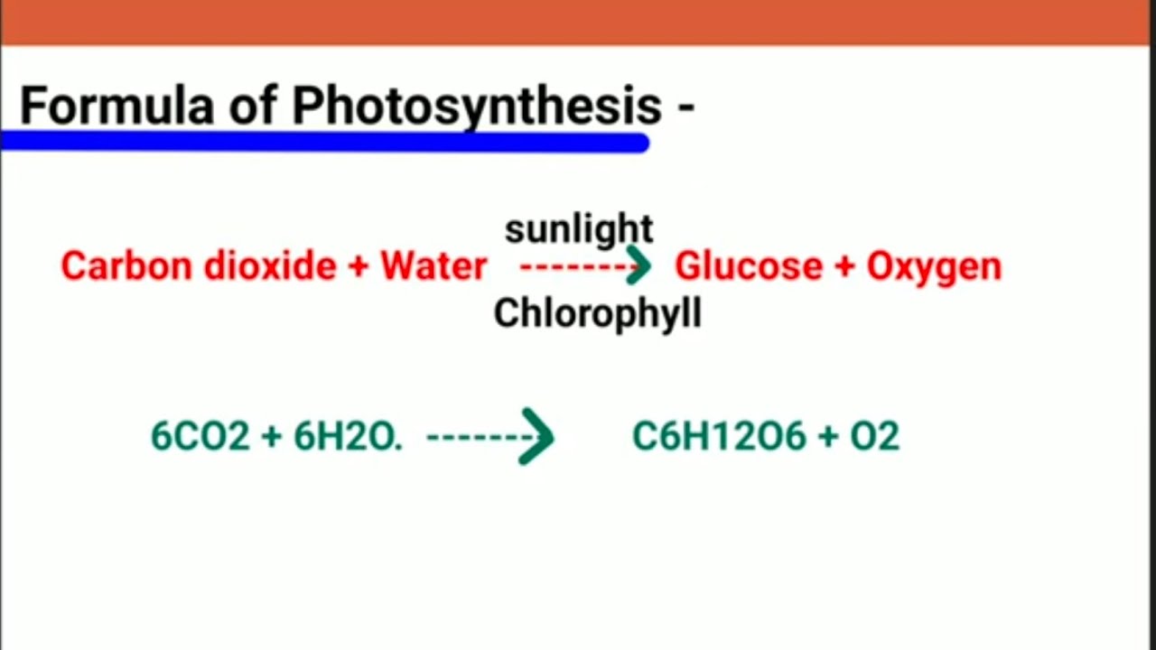 Science || (विज्ञान ) || FORMULA OF PHOTOSYNTHESIS || प्रकाशसंश्लेषण ...