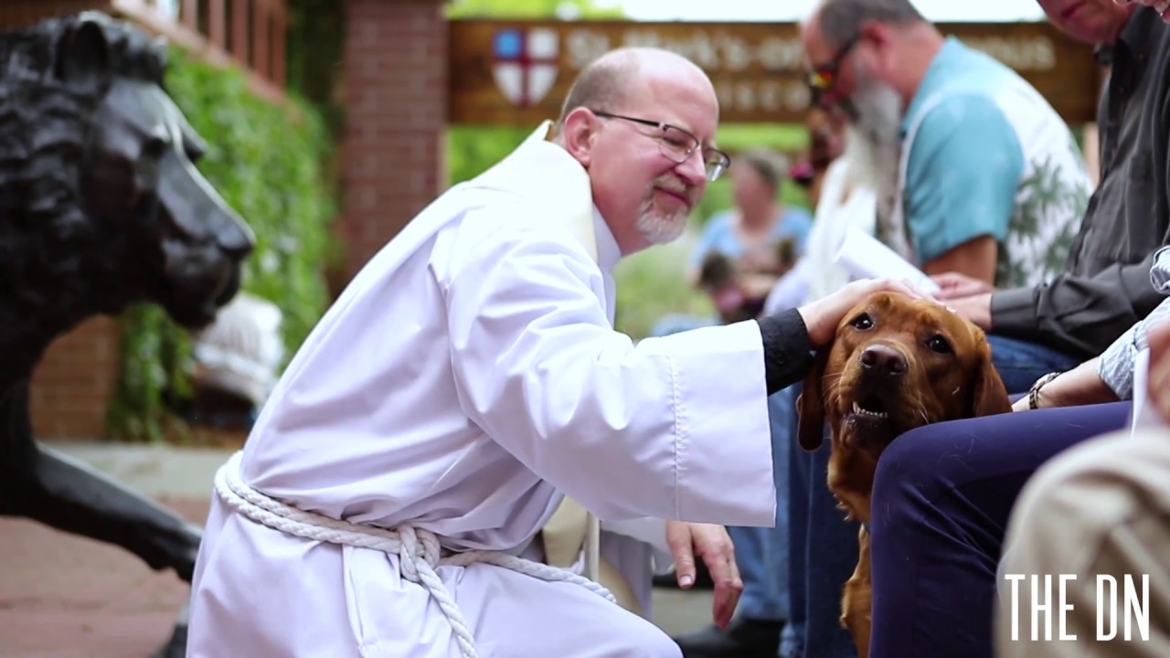 St. Francis Day: Blessings of the Animals - YouTube