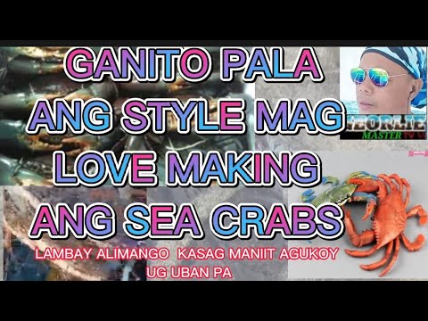 GANITO PALA ANG STYLE MAG LOVE MAKING ANG SEA CRABS LAMBAY,ALIMANGO ...