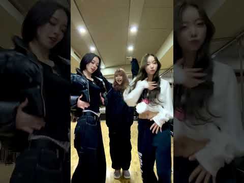 🎧⊹#MYERA #マイラ #마이라 #Aguri #Koto #Yui - YouTube