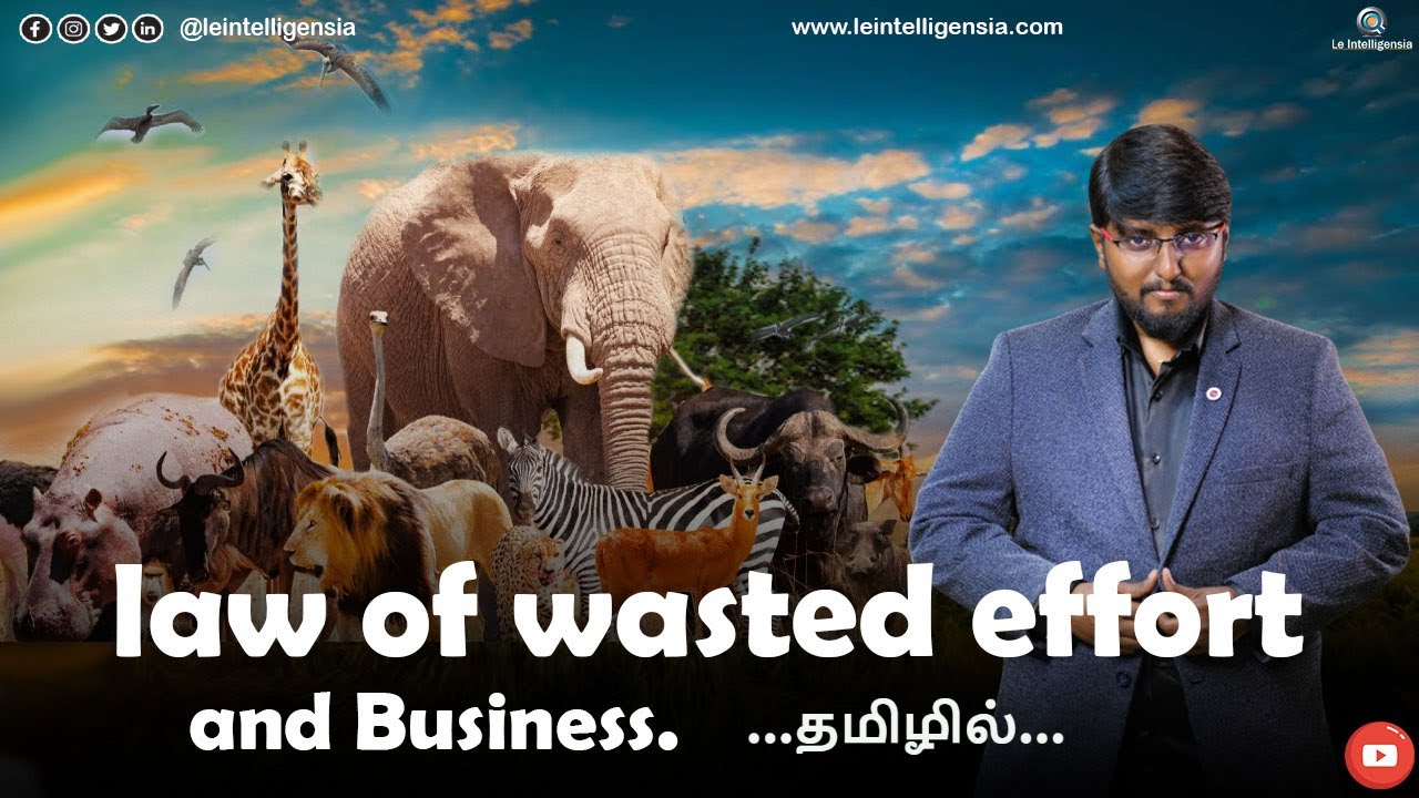 Law of Wasted Effort and Business #tamil #leintelligensia - YouTube