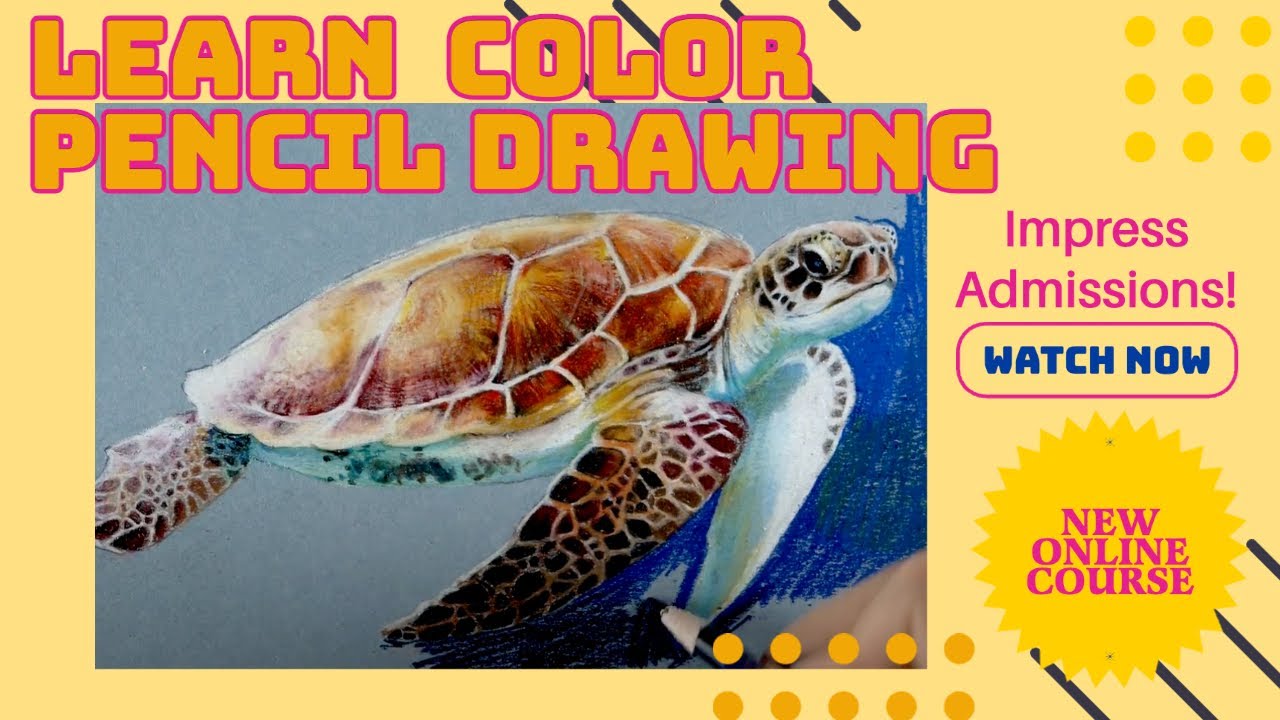 Learn Color Pencil Drawing to Impress Art School Admissions Counselors ...