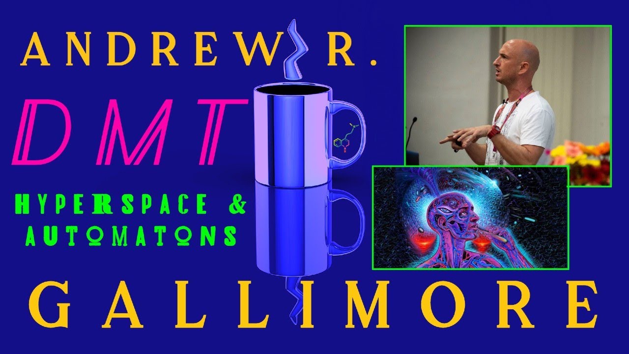 Dr. Andrew R. Gallimore - The DMT Space: Hyperspace & Automatons - YouTube