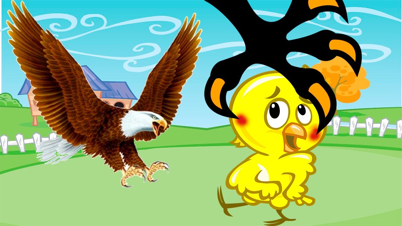 OLHA GAVIÃO E O MEU PINTINHO AMARELINHO - YouTube