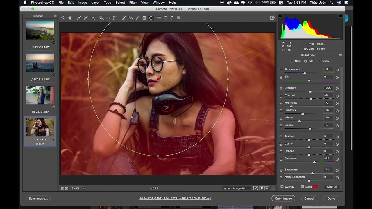 Bài 89: Camera Raw: Graduated Filter, Radial Filter, Adjustment Brush ...