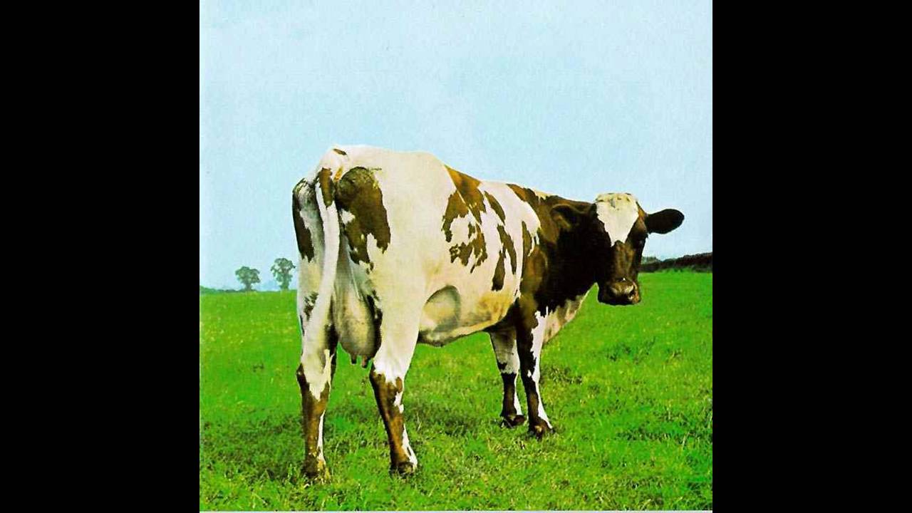 Pink Floyd - Fat Old Sun (432Hz) - YouTube