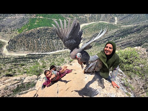 🕊️⛰️ Bird Trapped in the Zagros Mountains Rescued by Soghra and Zeinab 🌿👏