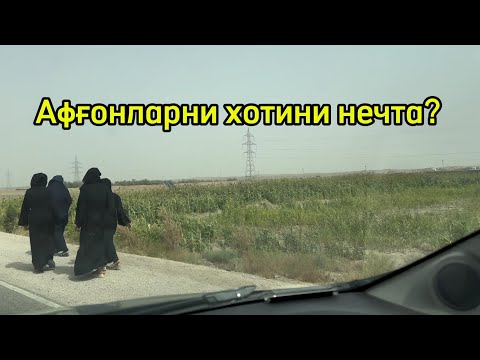Афғонларнинг хотини нечта?