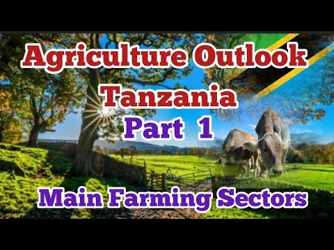 Top Agricultural Areas in Tanzania, major Crops of Tanzania. - YouTube